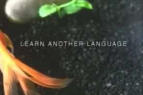 Lemon Tree. Animated Song. - ELT Buzz Video Lessons