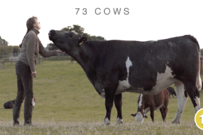 Skwerl - How English Sounds To Non-Speakers - ELT Buzz Video Lessons