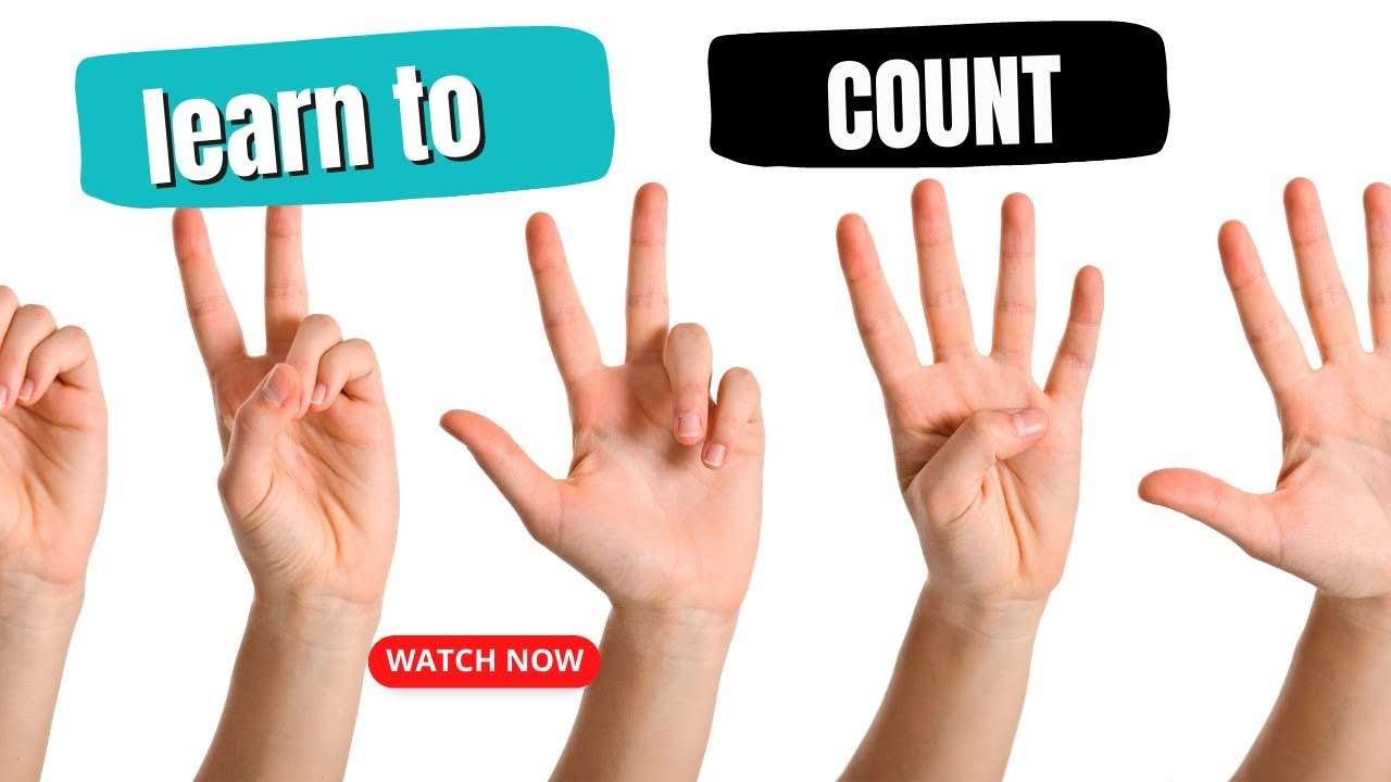 Counting - ELT Buzz Video Lessons