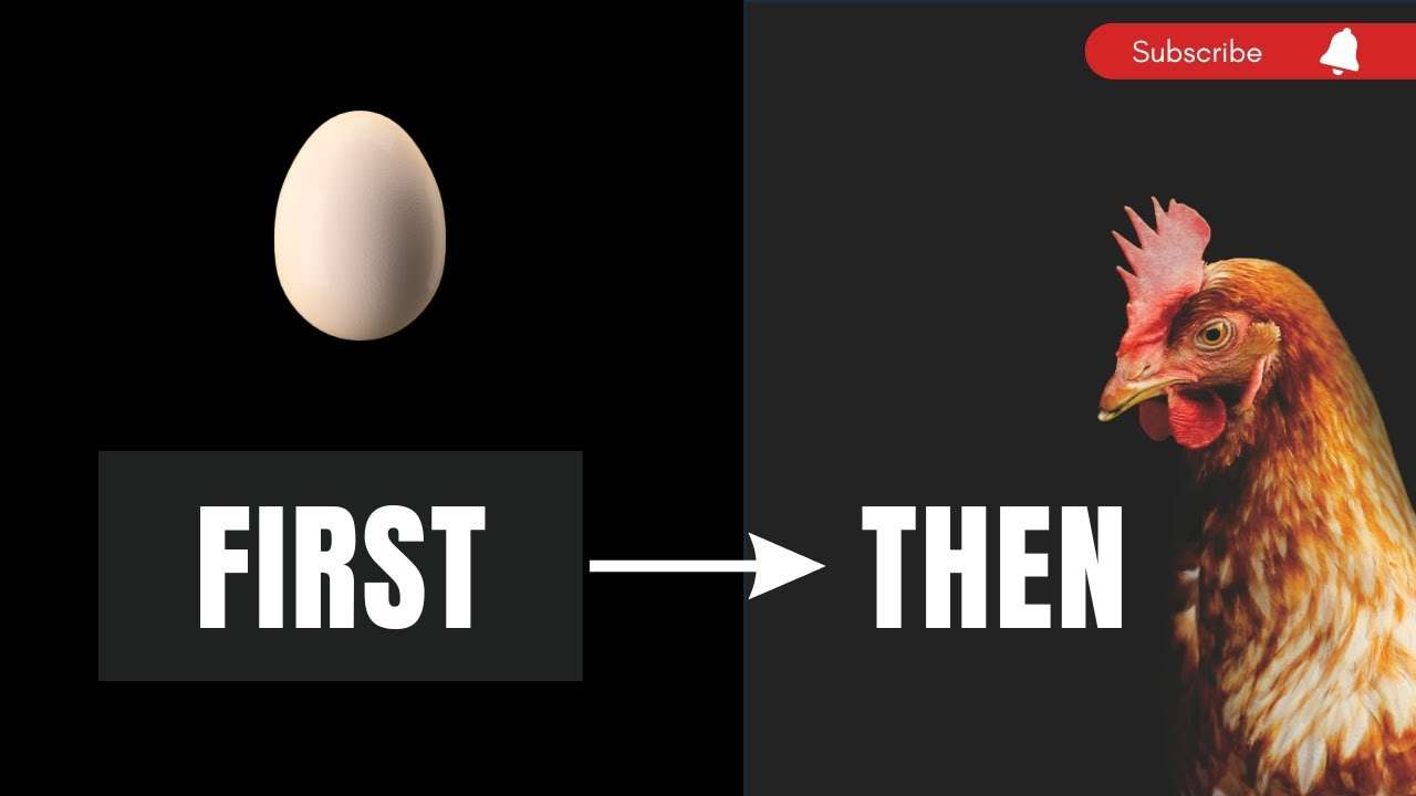 First The Egg - ELT Buzz Video Lessons