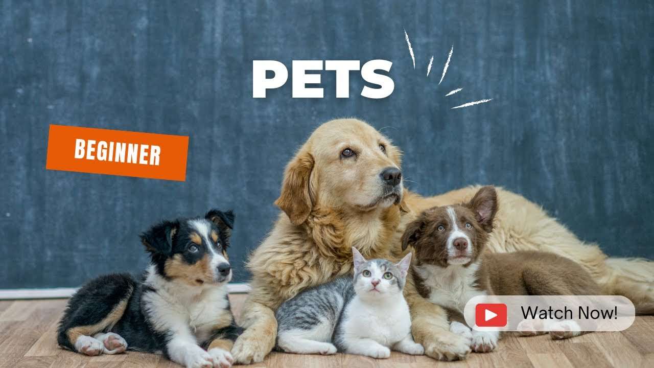 Pets - ELT Buzz Video Lessons