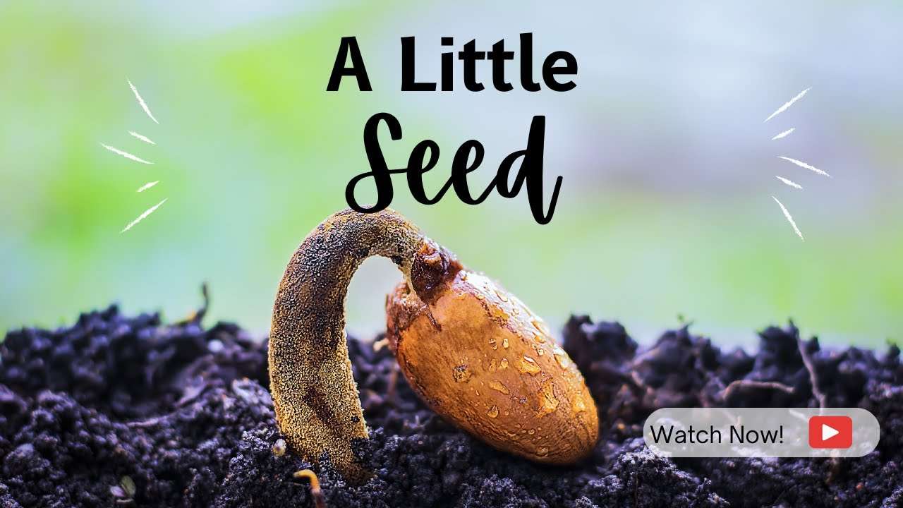A Little Seed - ELT Buzz Video Lessons