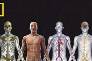 25 Top Superstitions - ELT Buzz Video Lessons