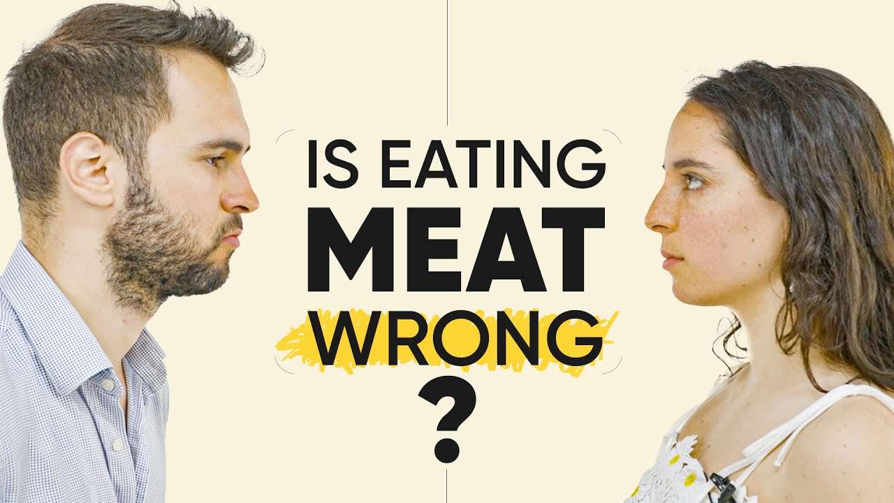 Debate It - Meat or No Meat? - ELT Buzz Video Lessons
