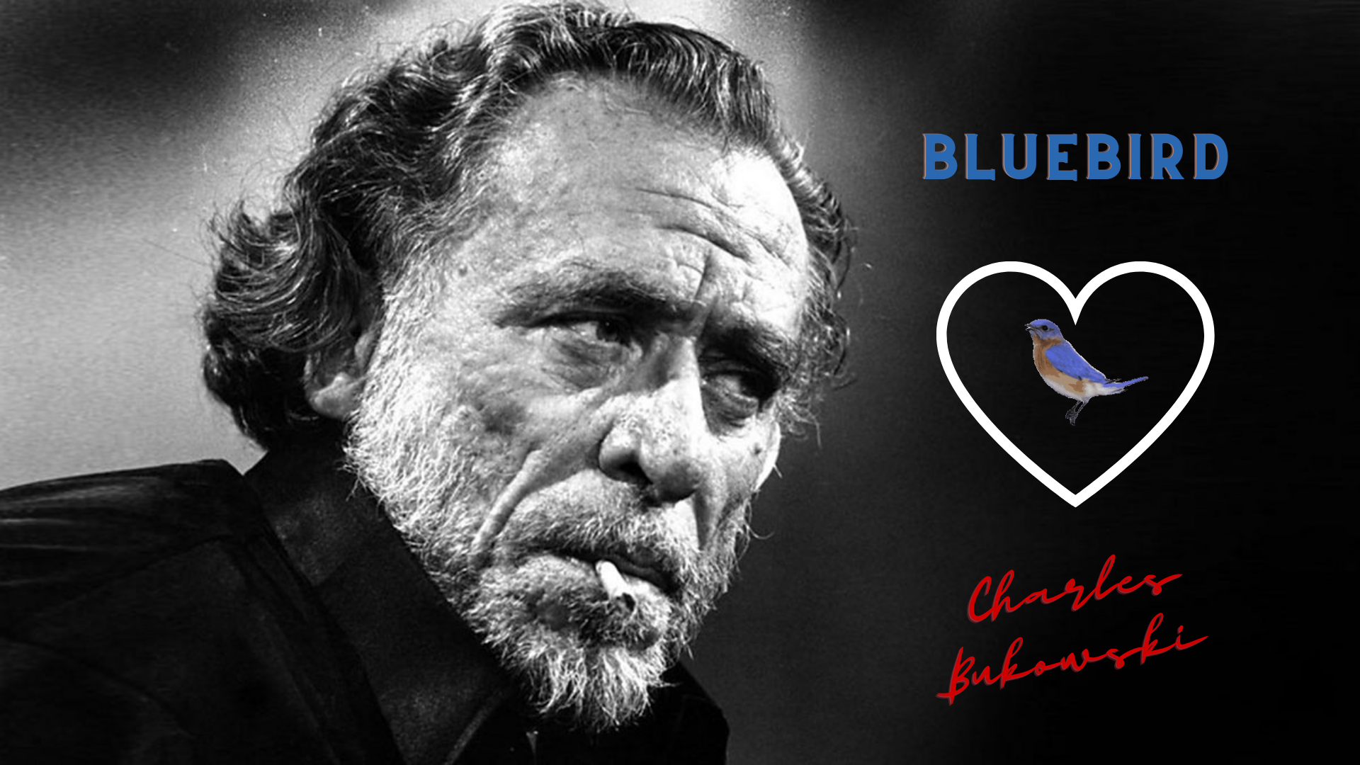 Bluebird. Our Hidden Emotions. - ELT Buzz Video Lessons