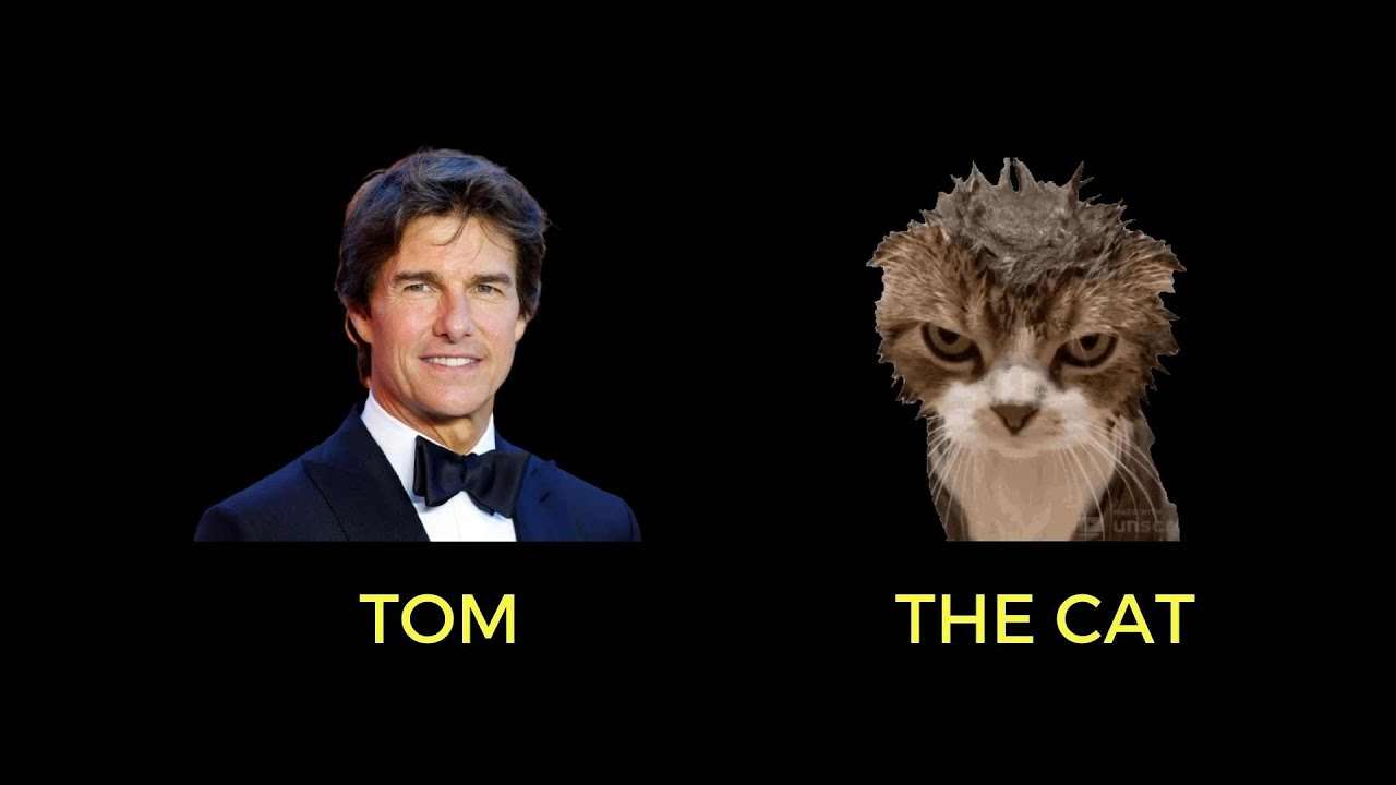 Tom The Cat - ELT Buzz Video Lessons