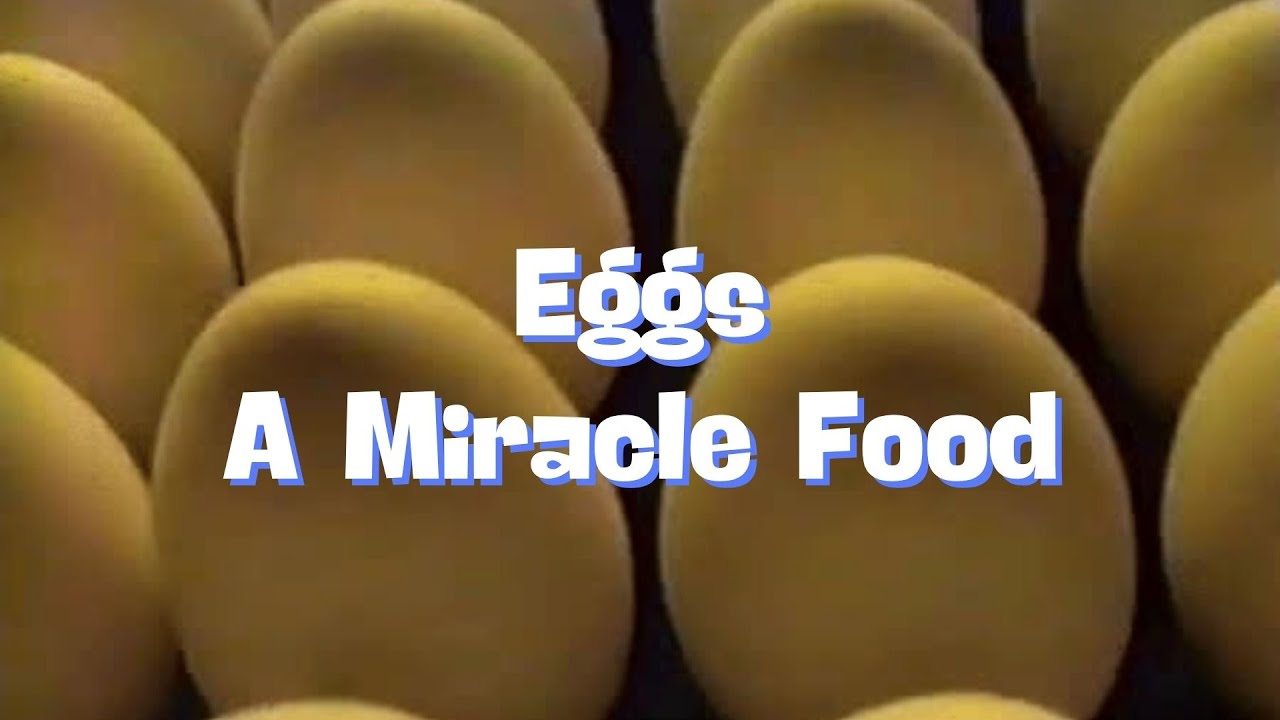 Eggs. A Miracle Food. - ELT Buzz Video Lessons