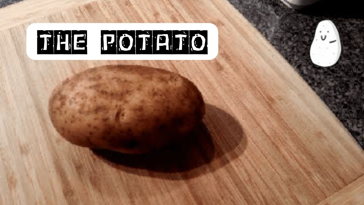 Potatoes - ELT Buzz Video Lessons