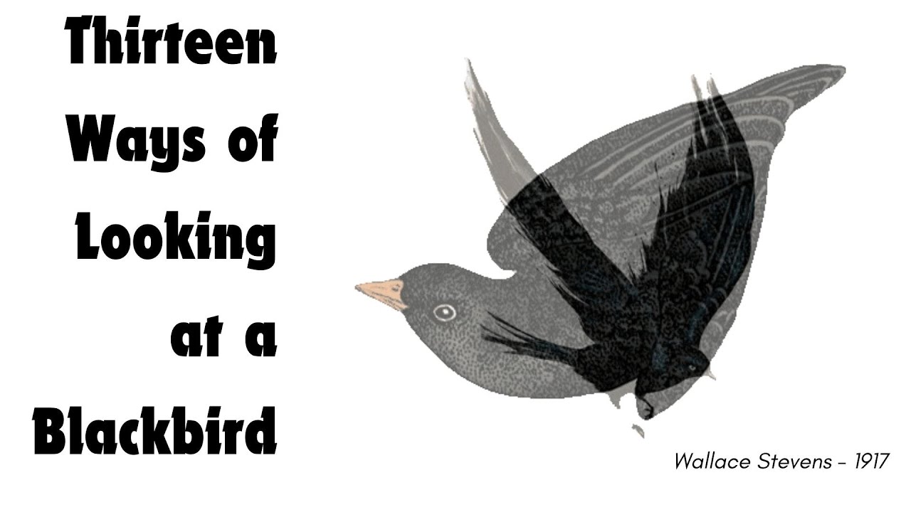13 Ways To Look At A Blackbird - ELT Buzz Video Lessons