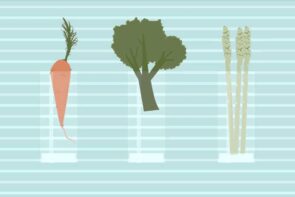 Symmetry - NPR. - ELT Buzz Video Lessons