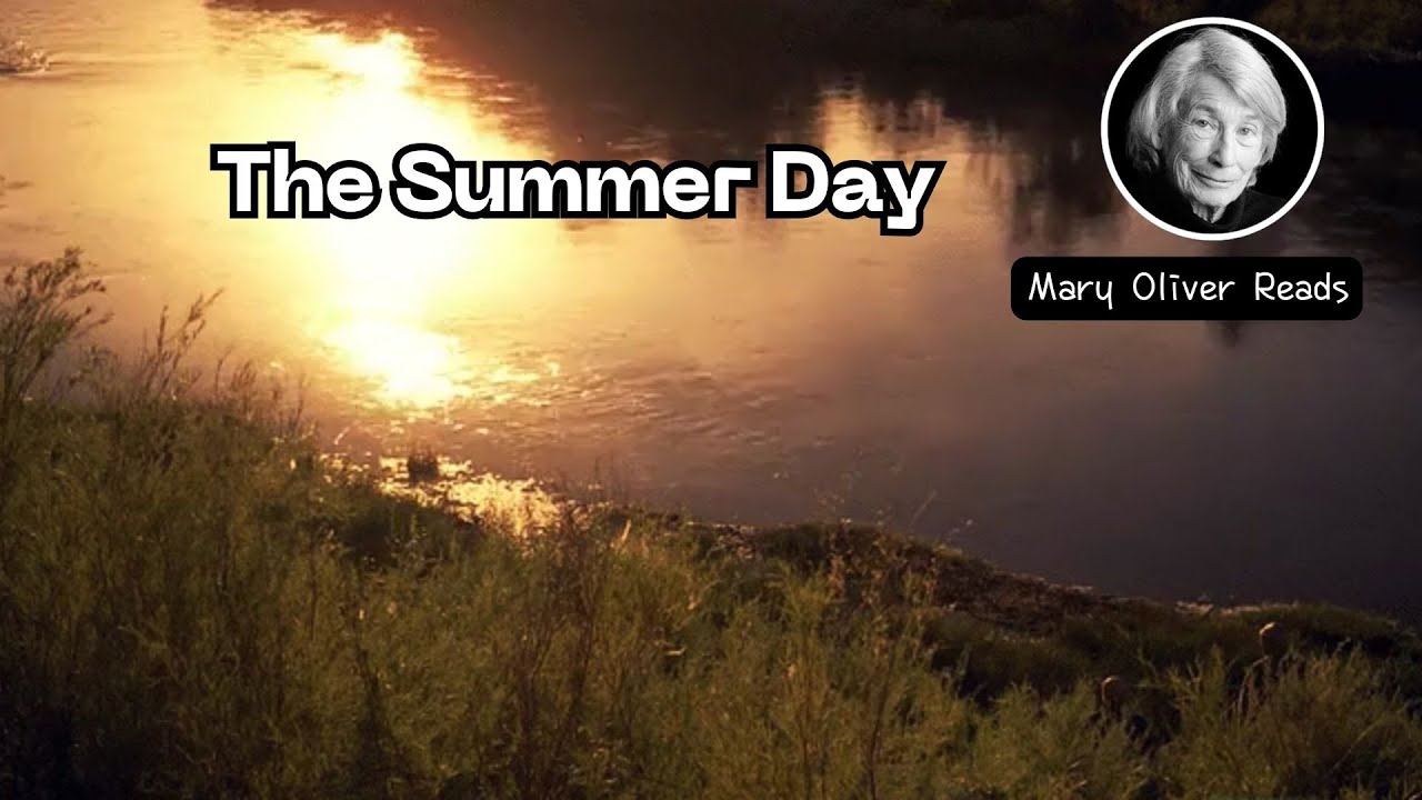 The Summer Day - ELT Buzz Video Lessons