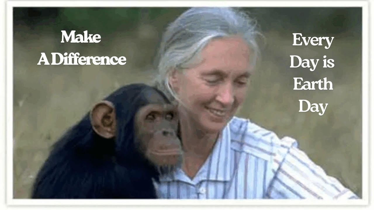 Jane Goodall Challenge - ELT Buzz Video Lessons