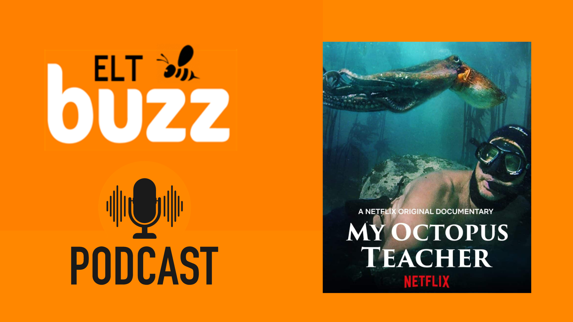 ELT Podcast ELT Buzz ELT Podcast ELT Buzz